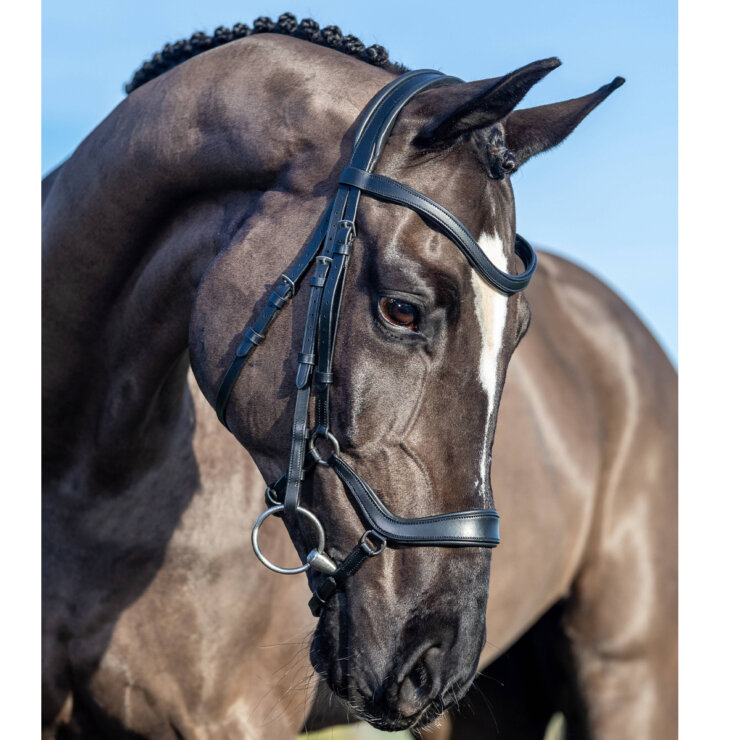 LeMieux uzda Arika Drop - Konjeniška trgovina UNIHORSE, Ljubljana